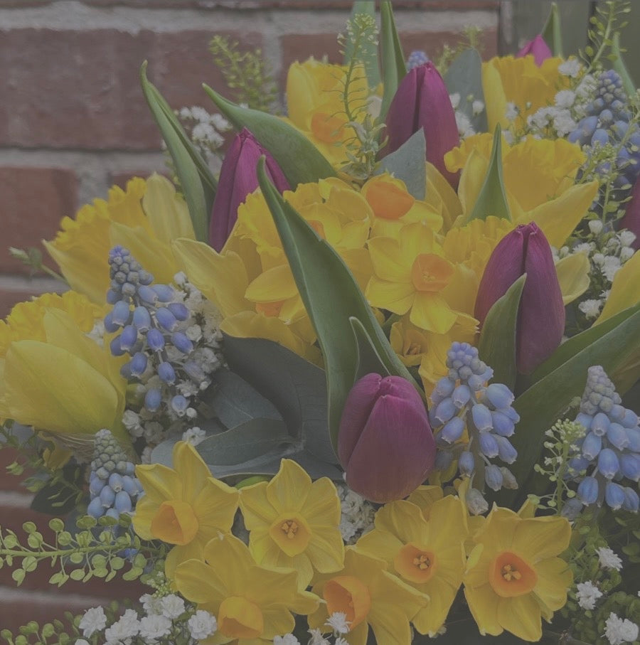 Spring collection – Flourish Florists