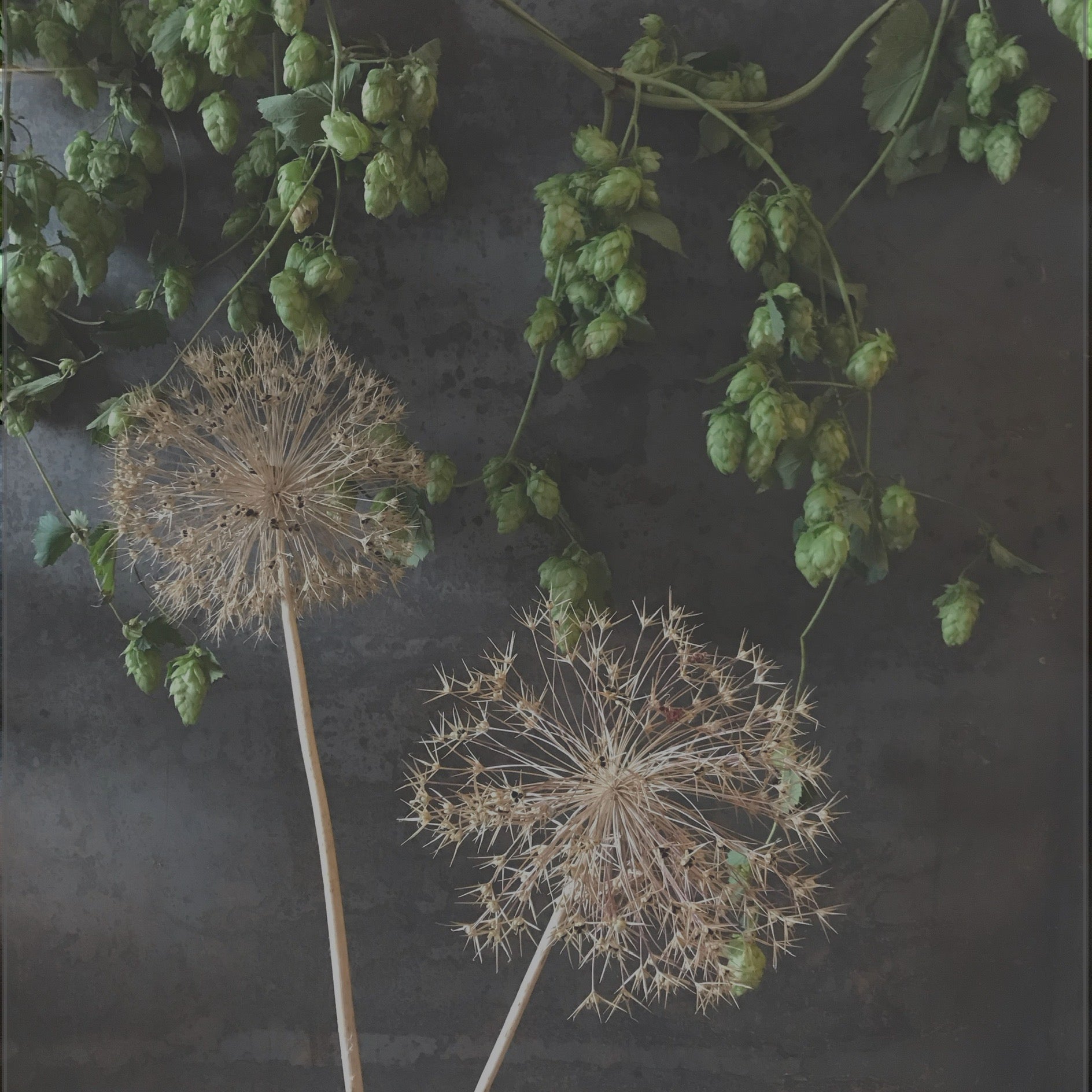 Autumn collection – Flourish Florists