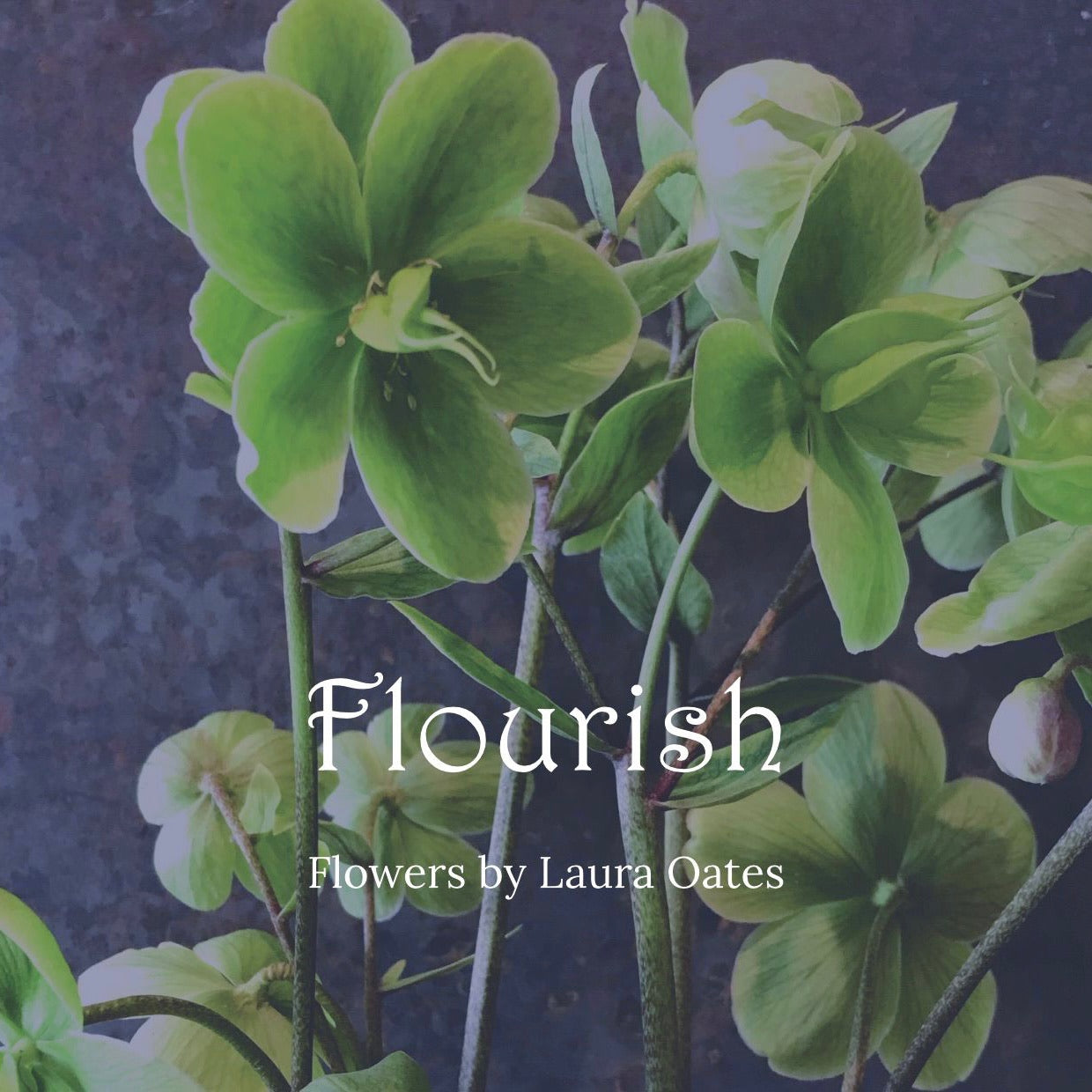 Flourish gift card – Flourish Florists