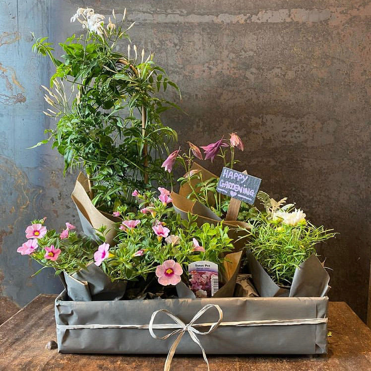 Gardeners delight – Flourish Florists