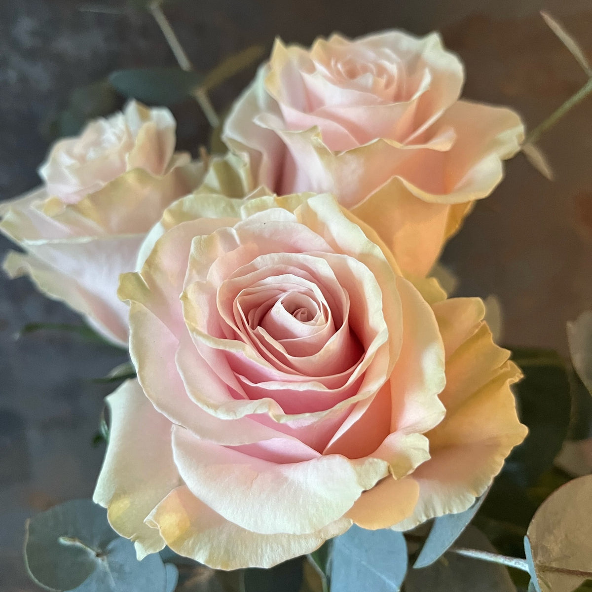Sweet love – Flourish Florists